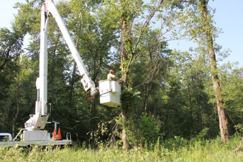 Bucket Truck Rental | Forestry Rentals